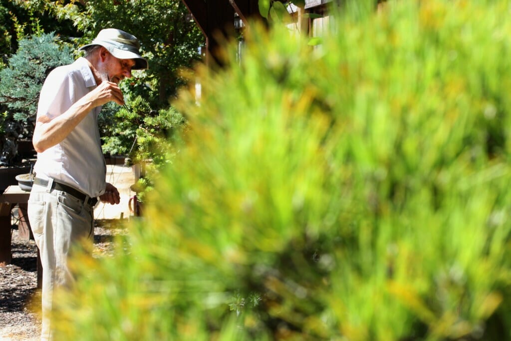 Bonsaify | A Conversation with John Boyce