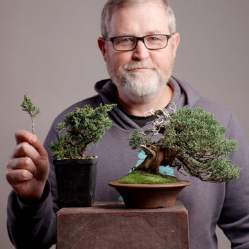 Bonsaify | Buy Bonsai Trees | Bonsai Pots & Supplies