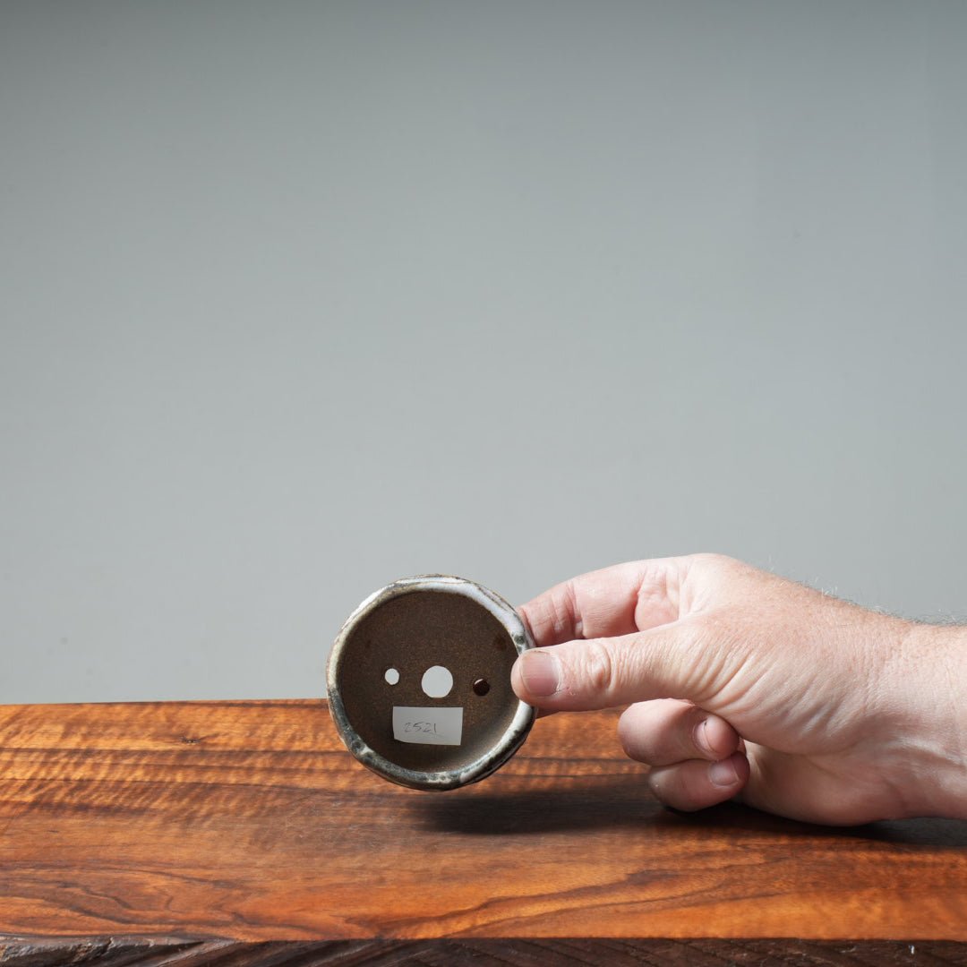 Bonsaify | Etsuko Bram "Emberstone" #21