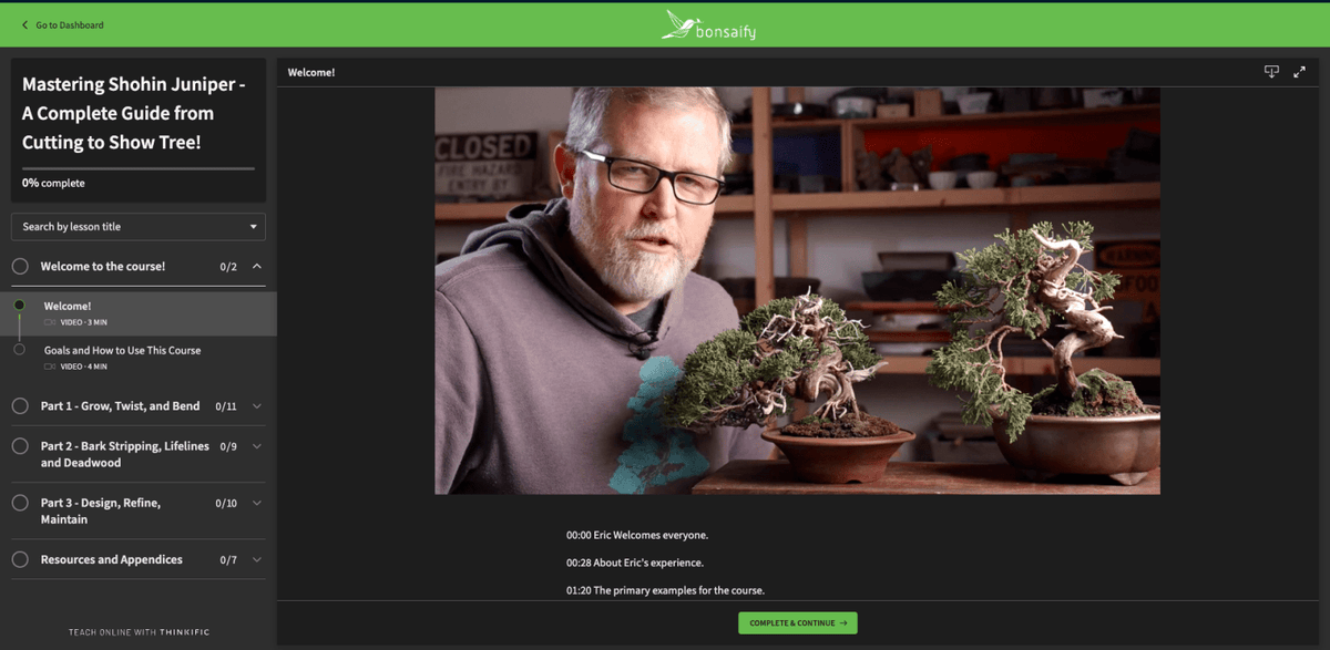 Mastering Shohin Juniper Bonsai: From Cutting to Show Tree – Bonsaify