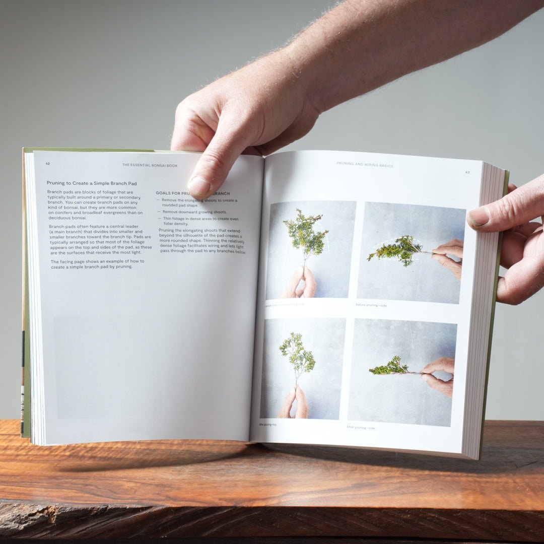 The Essential Bonsai Book By Jonas Dupuich – Bonsaify