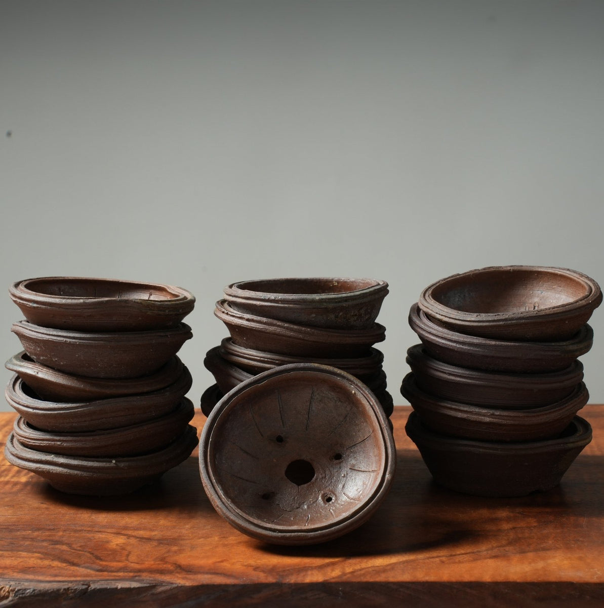 Bonsaify | Mitunobu Ito Small Shallow Round Bonsai Containers